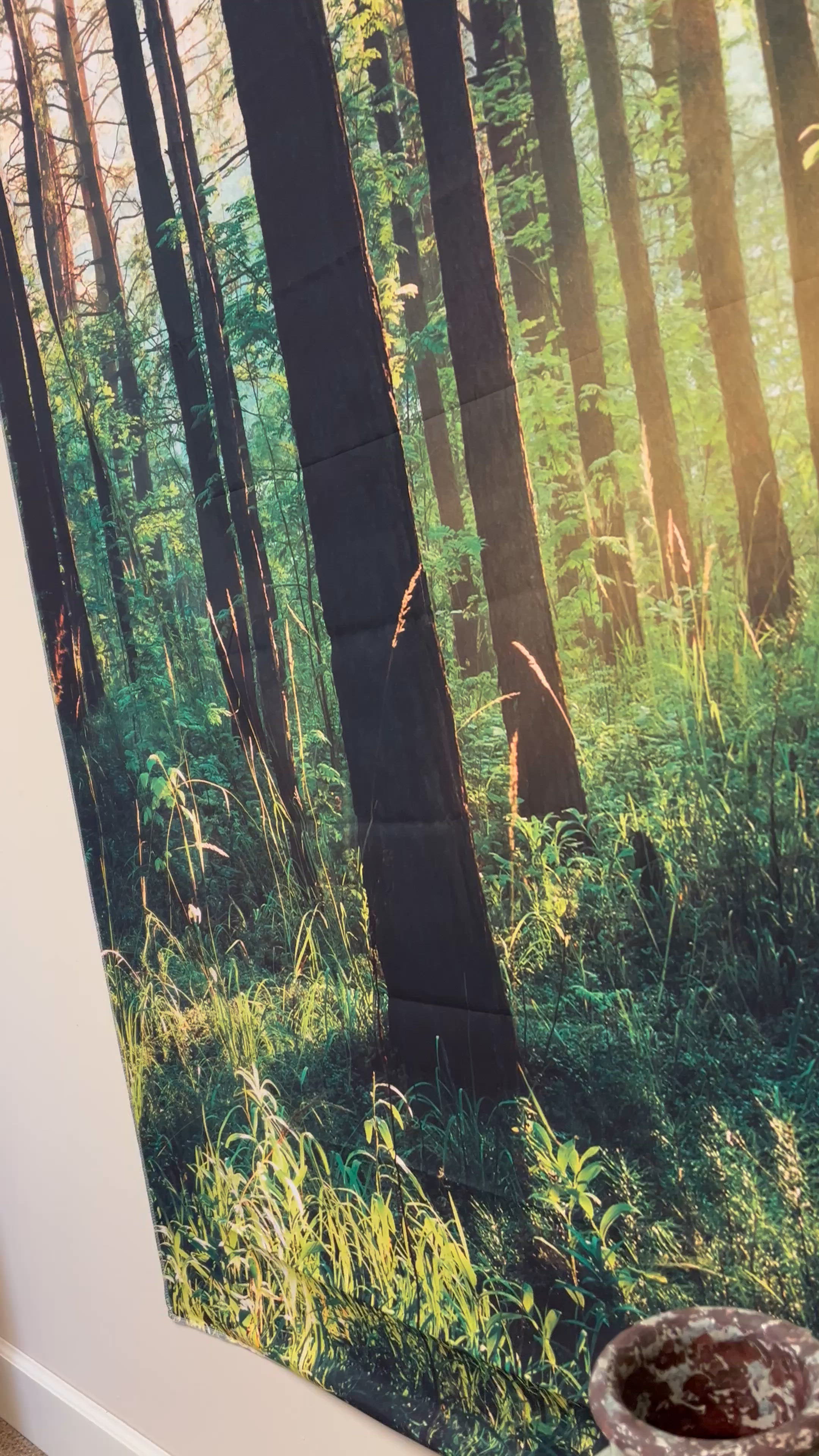 Miranda Charles, Provisional Licensed Professional Counselor, Lafayette ...