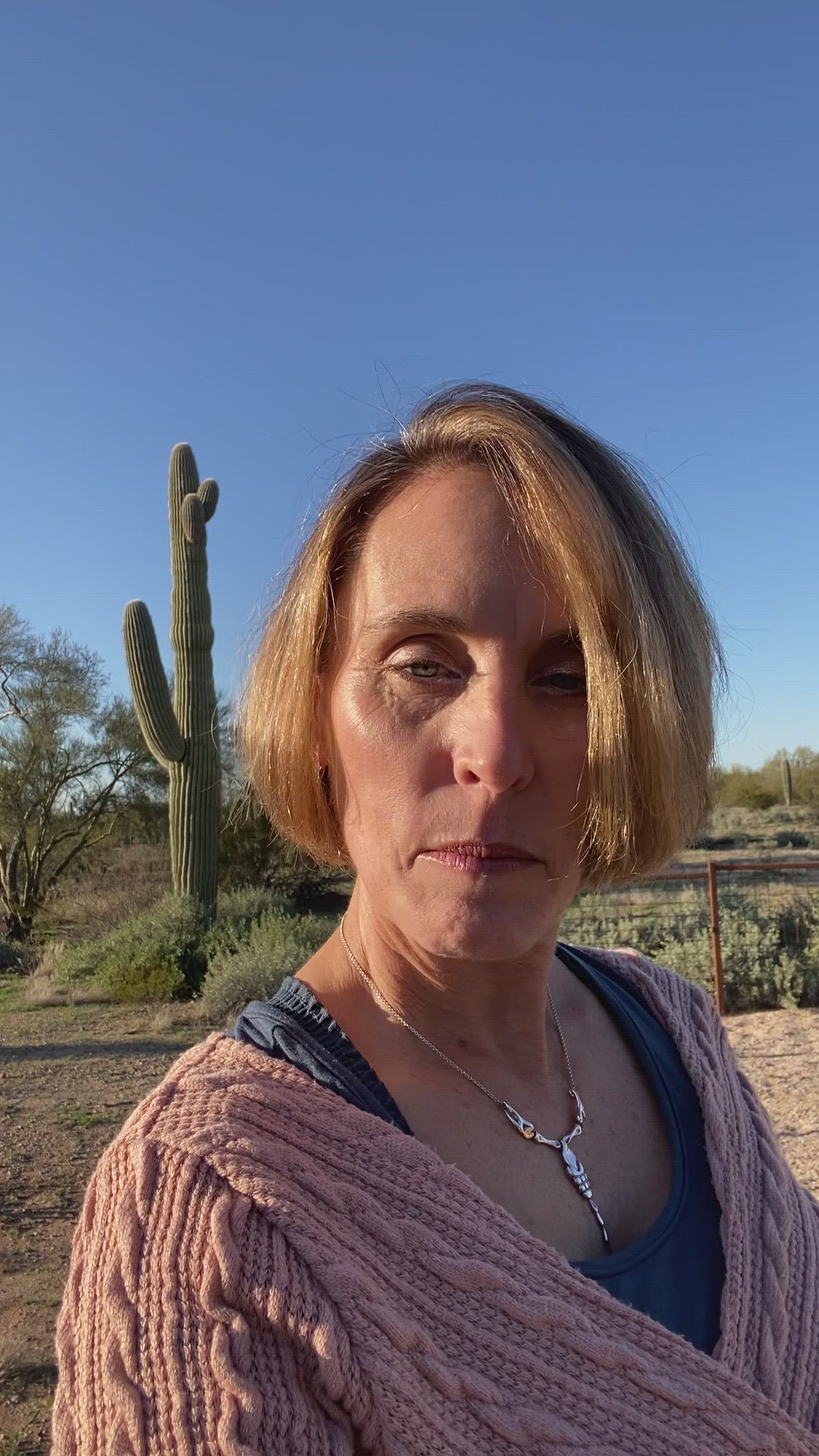 Brenda West, Licensed Professional Counselor, Lone Tree, CO, 80124 ...