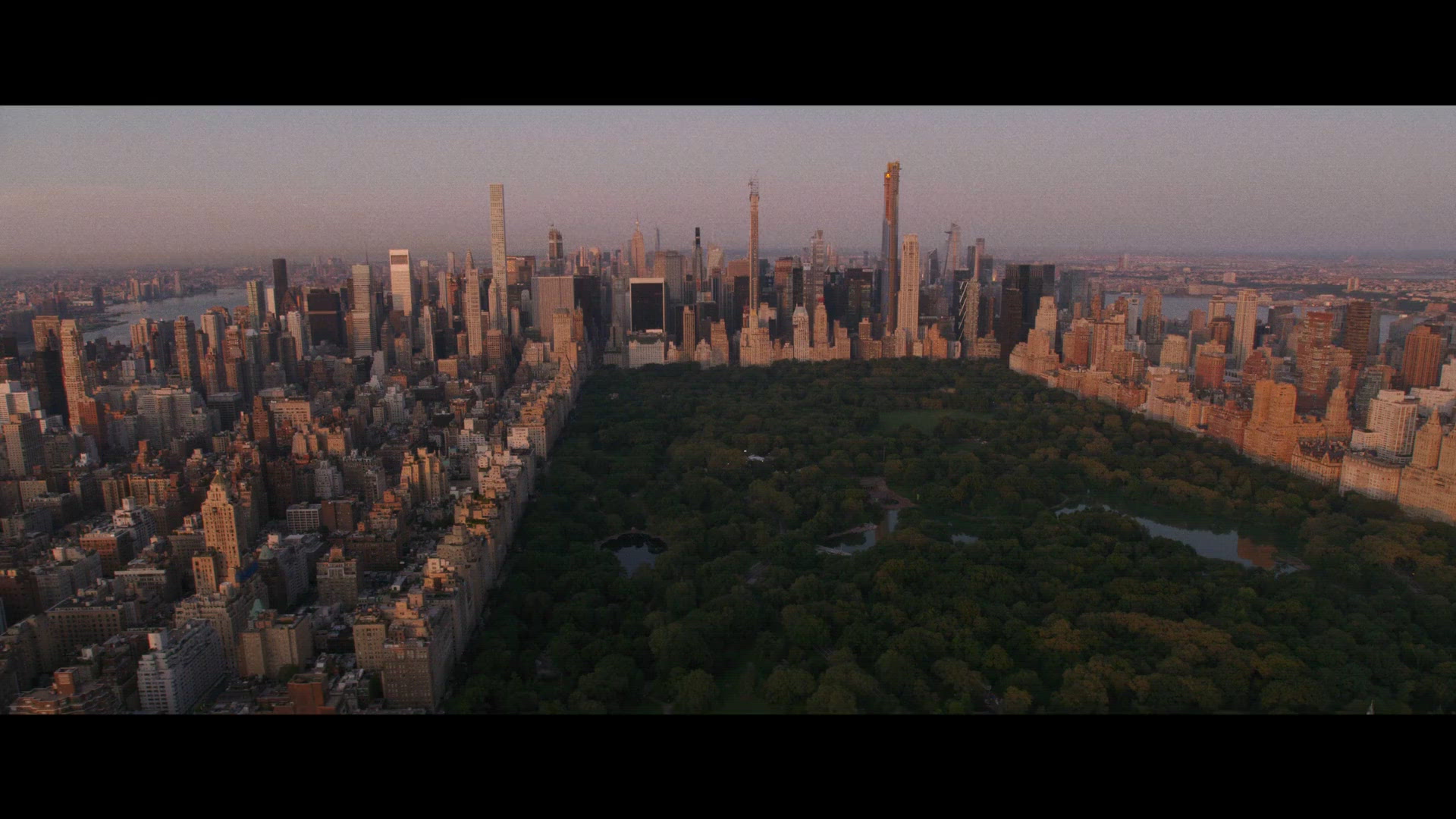 Meghan Fitzpatrick, Psychologist, New York, NY, 10016 | Psychology Today