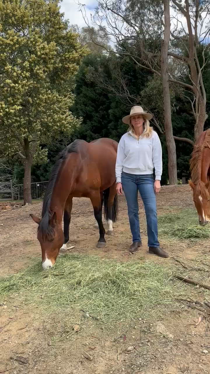 EquiMIND, Counsellor, Bowral, NSW, 2576 | Psychology Today