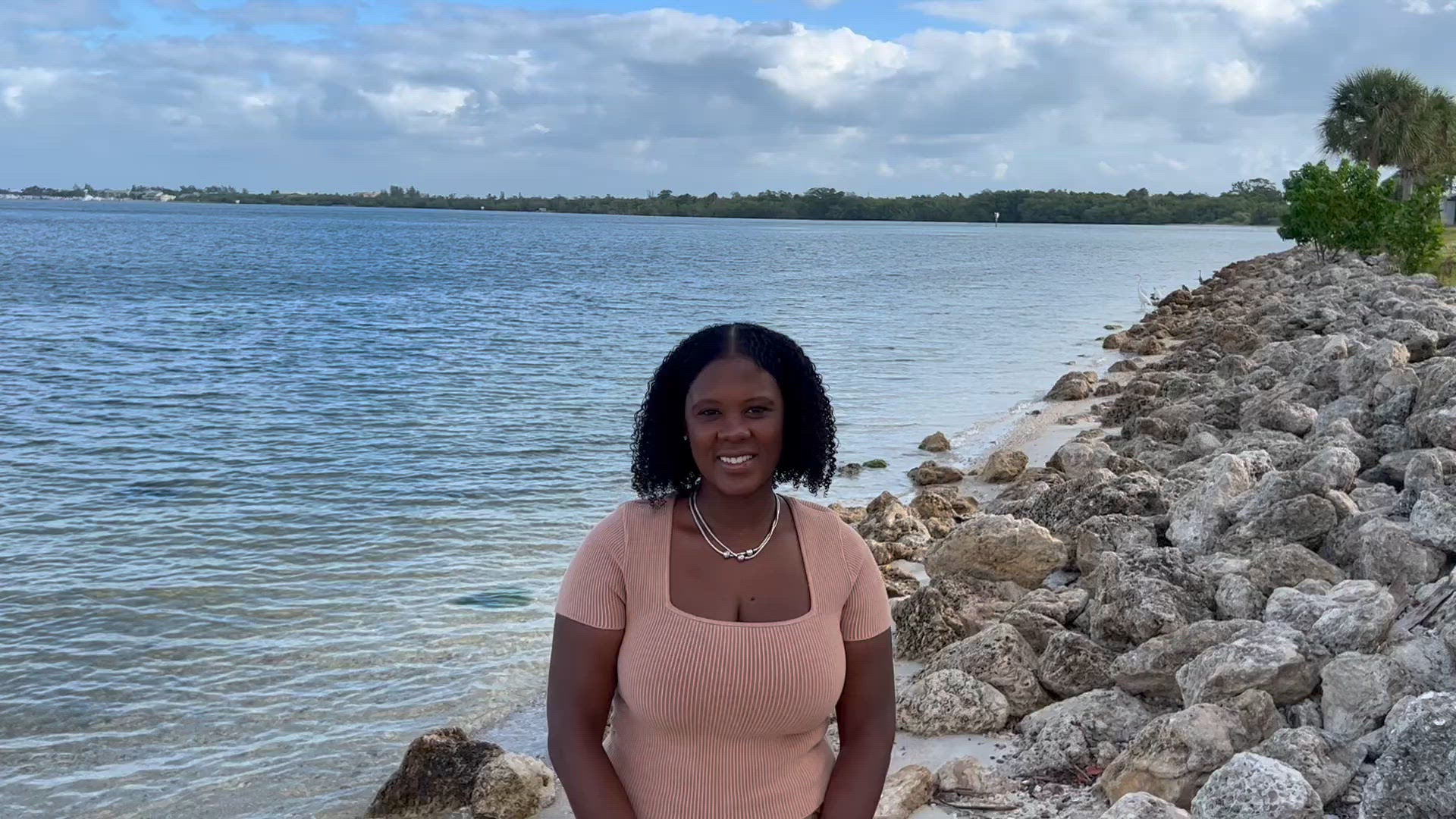 Lashon Simpson, Psychiatric Nurse Practitioner, Jersey City, NJ, 07306 ...