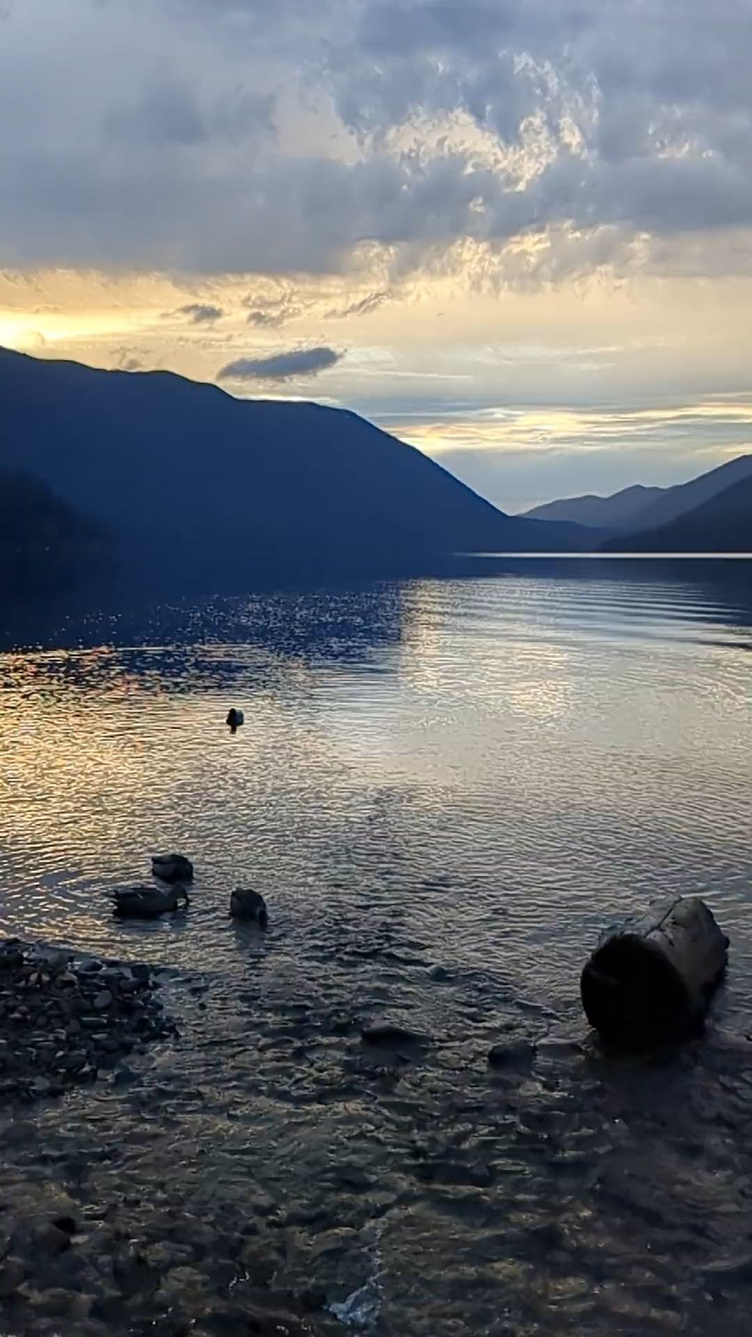 Nia Kaye, Counselor, Port Angeles, WA, 98362 | Psychology Today