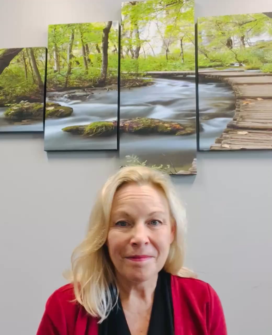 Ana Lisa Amos, Licensed Professional Counselor Associate, Spring, TX ...