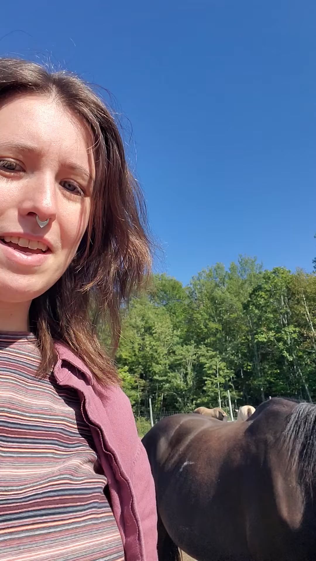 Holly Testerman, Clinical Social Work/Therapist, Boscawen, NH, 03303 ...