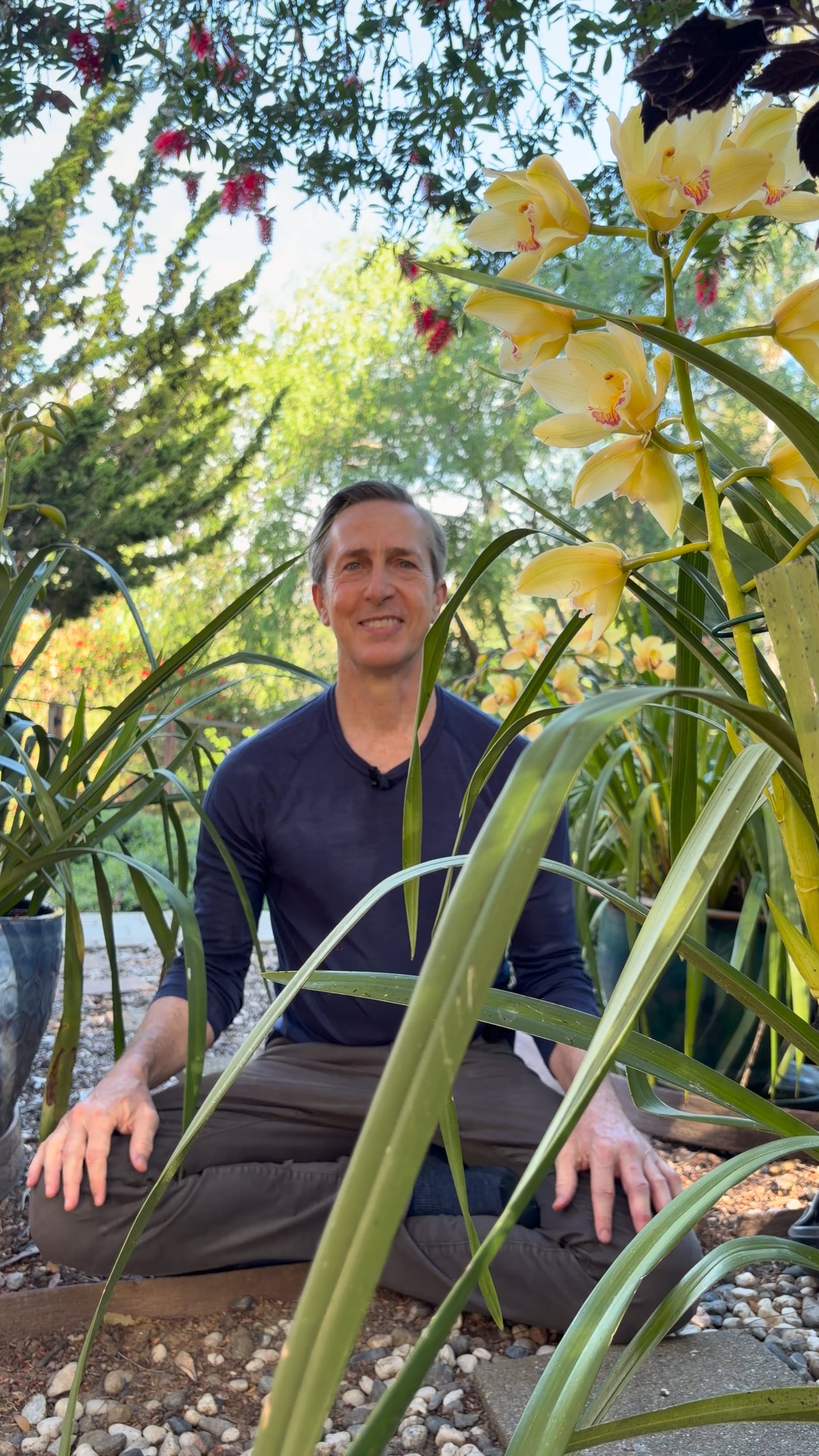 Domonick Wegesin, Psychologist, Oakland, CA, 94605 | Psychology Today