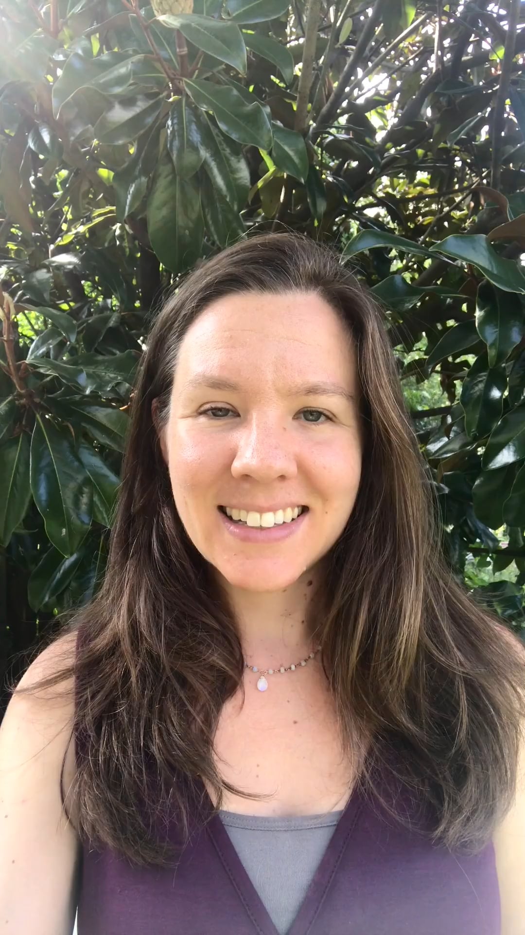 Hannah Wilson Holistic Therapy, Licensed Professional Counselor, Silver ...