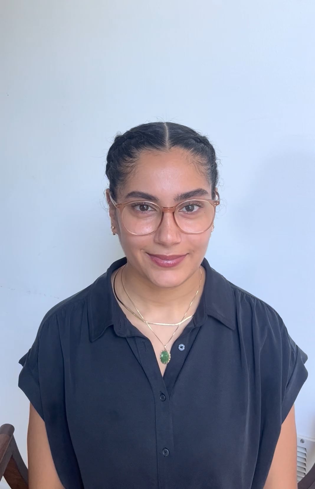 Emily Aranda, Pre-Licensed Professional, New York, NY, 10123 ...