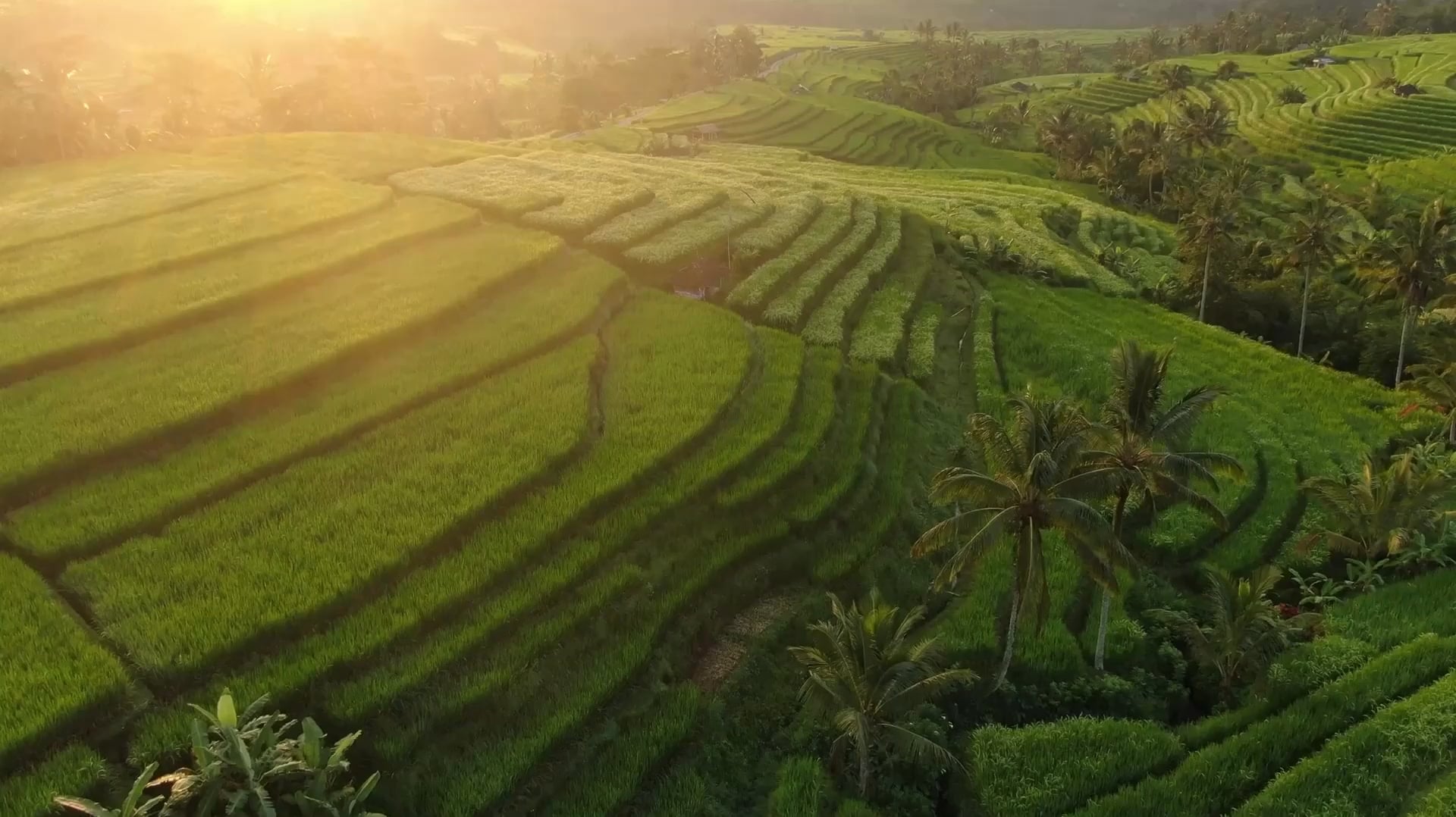 Susan Hart, Clinical Social Work/Therapist, New York, NY, 10019 ...