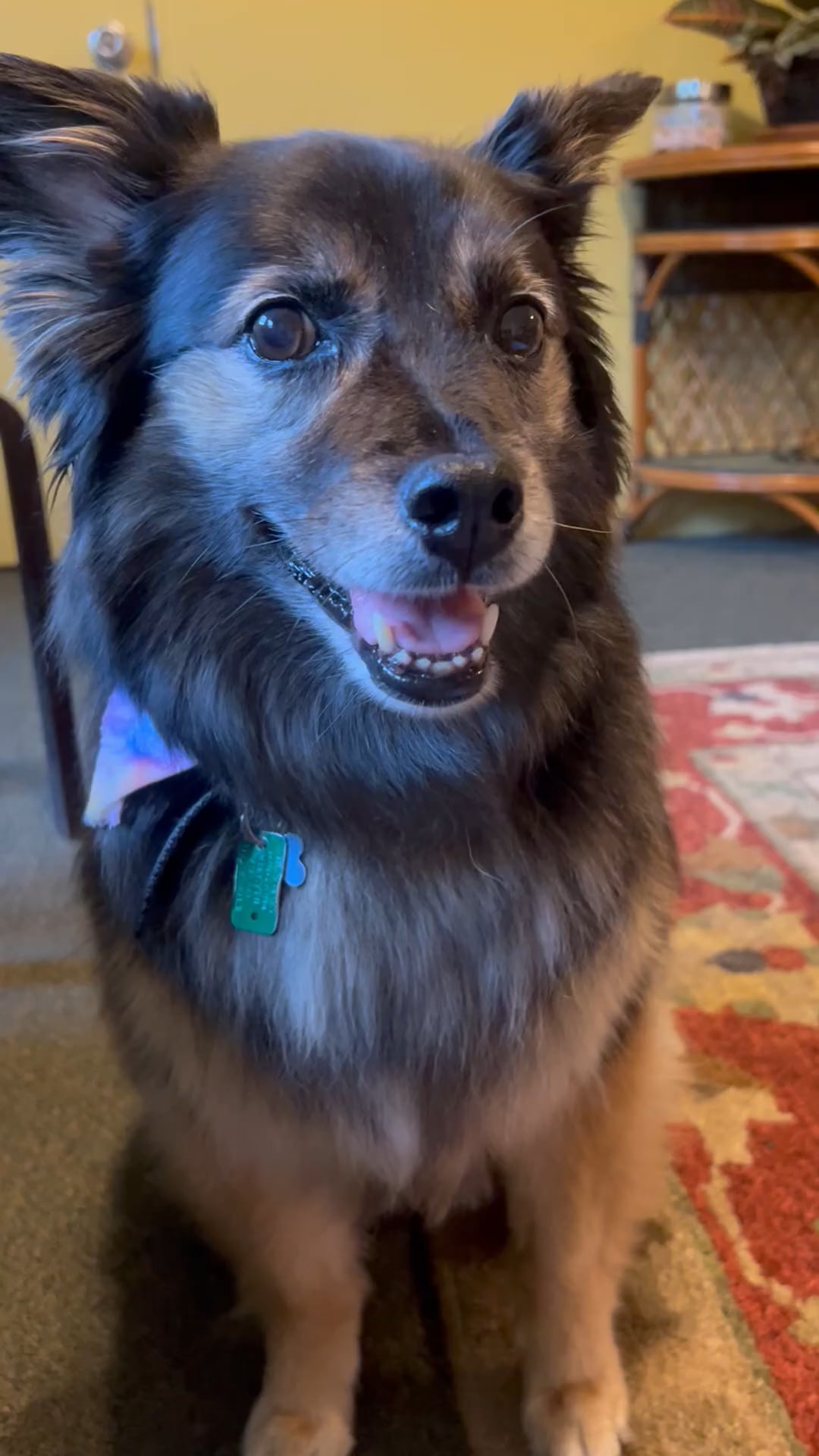 Jill Howell, Licensed Professional Counselor, Delaware Water Gap, PA ...